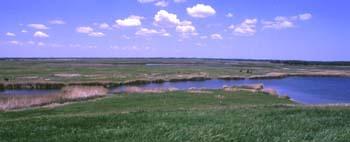 Goose Lake Prairie State Park