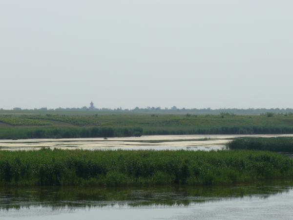 Curcani - Comuna Curcani