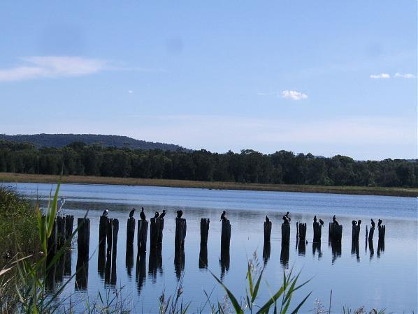 Dee Why Lagoon - Sydney, NSW