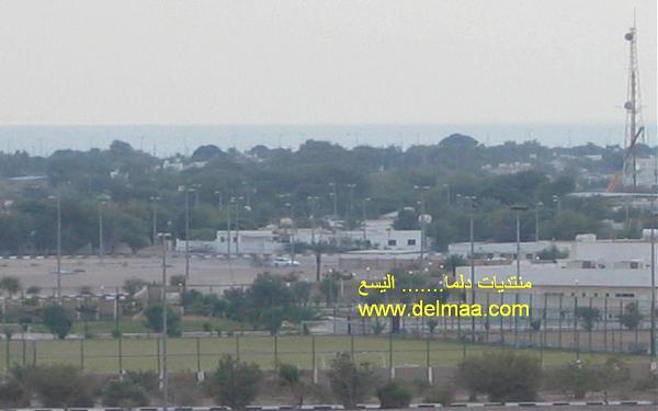 نادي دلما الرياضي DELMA SPORT CLUB
