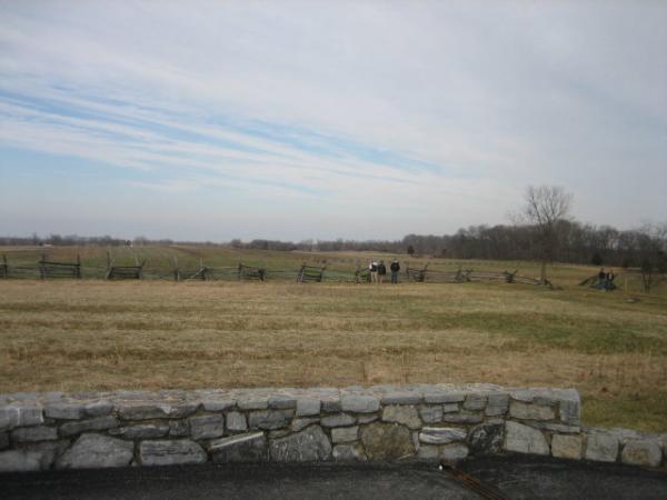 David R. Miller's Cornfield