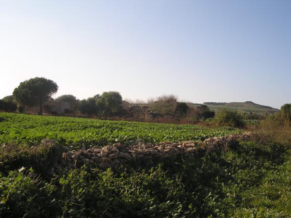 Nuraghe Sa Ruda (English)