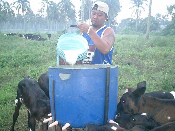 Rockwell Center Lipa (U. C.) - Lipa