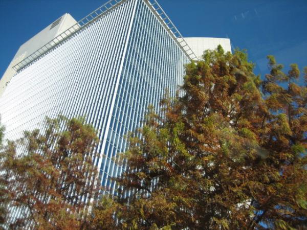 Federal Reserve Bank of Dallas