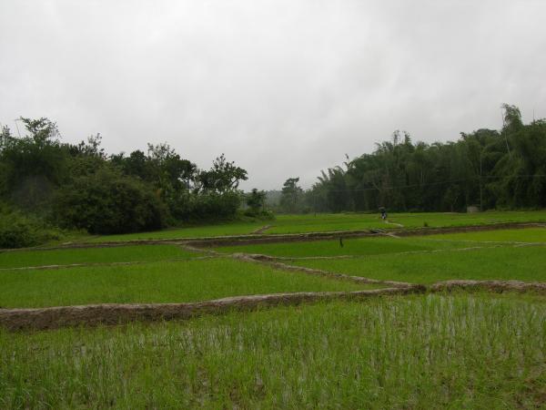 Kanavu School (കനവ് വിദ്യാലയം) - Nadavayal