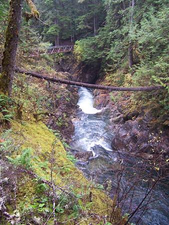 Little Qualicum Falls Provincial Park