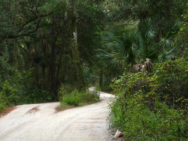 Big Talbot Island State Park