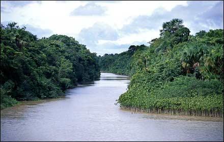 Mouth of Amazon River