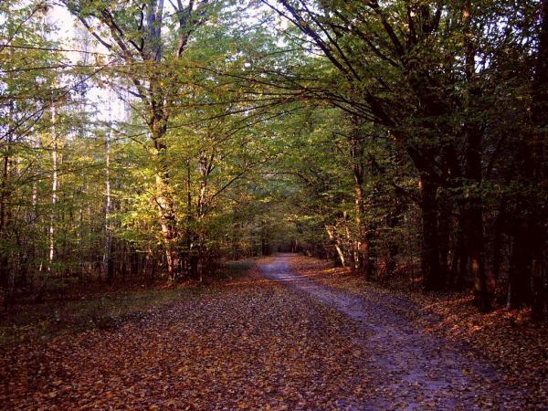Polesie National Park (main area)