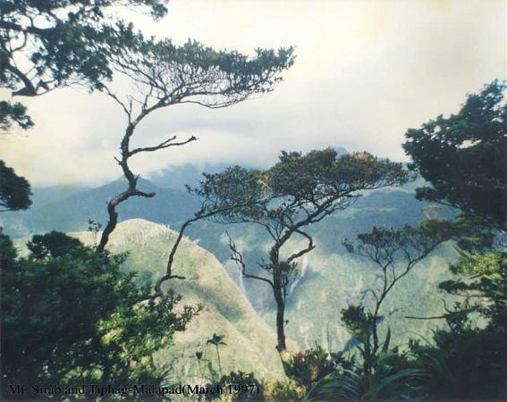 Mt. Mandalagan - Cabatangan