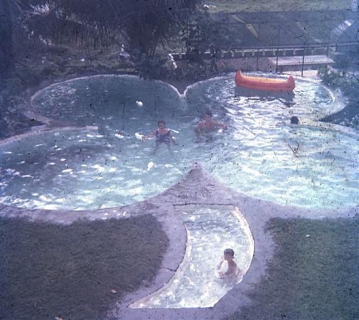 The Four Leaf Clover Pool. | swimming pool