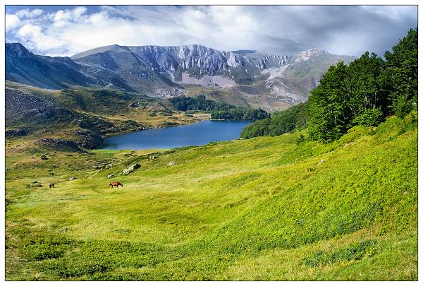 Pešića jezero | lake