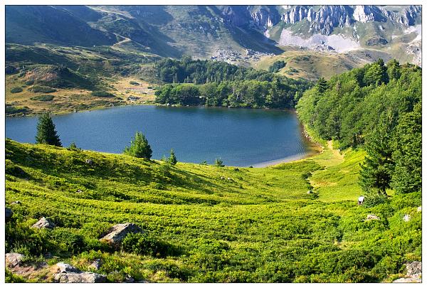 Pešića jezero | lake