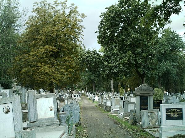 Central Cemetery - Cluj-Napoca (English)