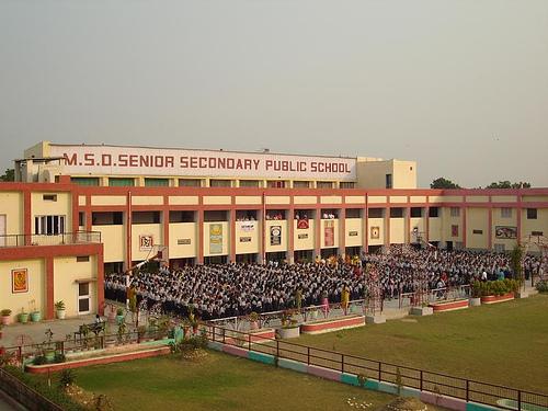 MSD school Bathinda - Bathinda