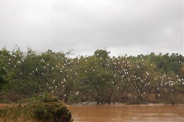 Mandagadde Bird Sanctuary