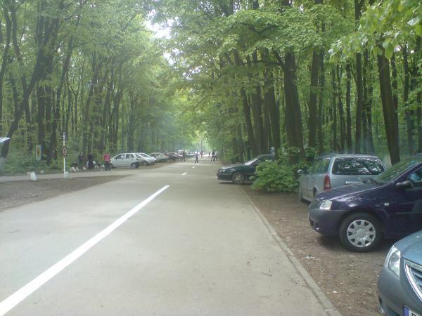 Complex Agrement Pustnicu