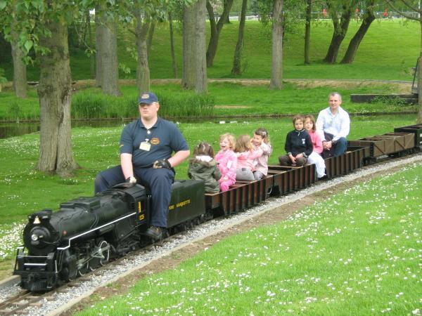 Little Steam Train of Forest