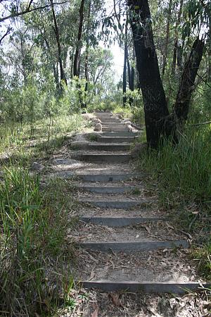 Stanthorpe Lawn Cemetery - Stanthorpe