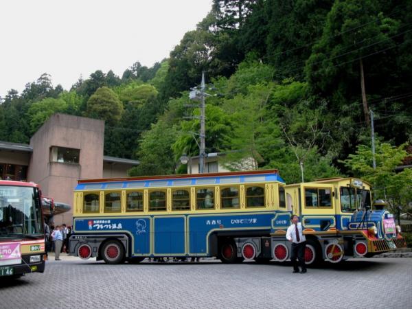 Shogai Seisun-no-Yu Hinode Mitsuzawa Tsurutsuru Onsen - Hinode, Tokyo