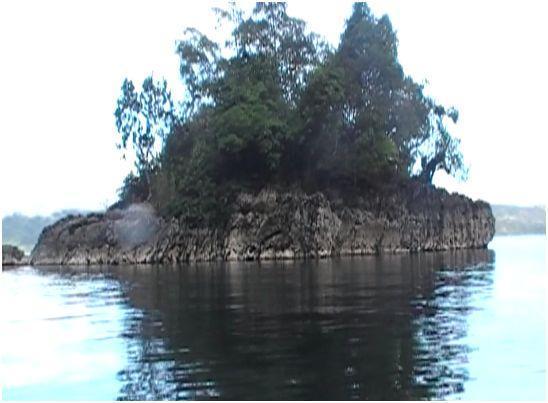 Lake Mainit | water