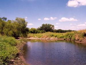 Oak Ridge Forest Preserve