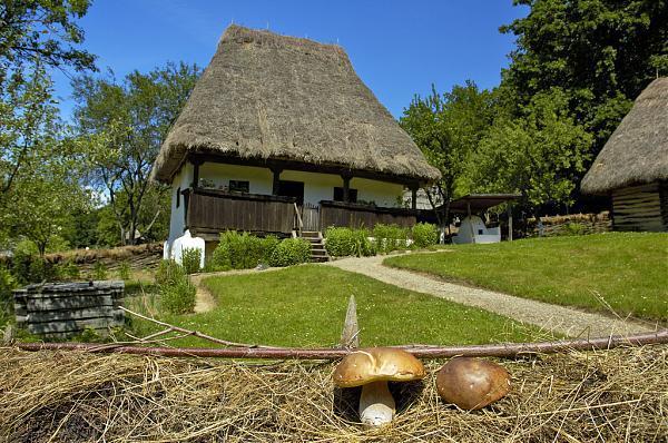 Parcul Natural Dumbrava Sibiului (Pădurea Dumbrava) - Sibiu