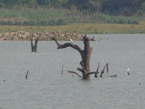 Rissia Dam | lake, reservoir lake