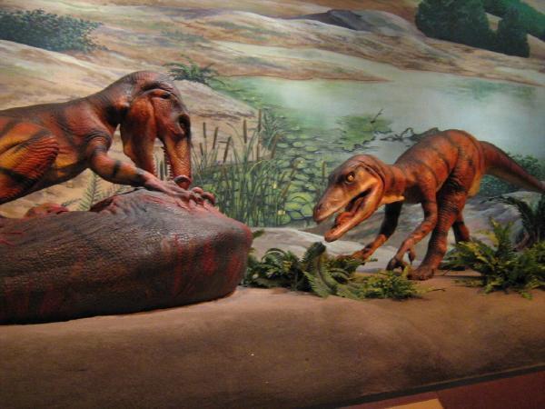 Pacific Science Center - Seattle, Washington