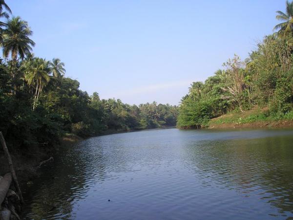 Tony Ignatious(Alappatt Thottian House)