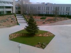 Jordan University of Science and Technology