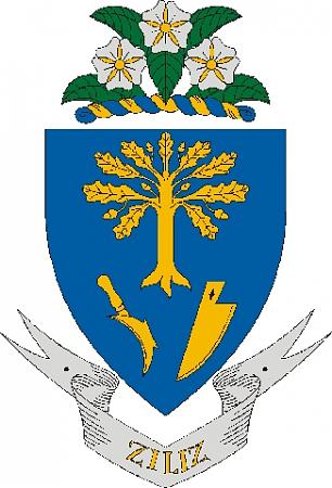 Ziliz
