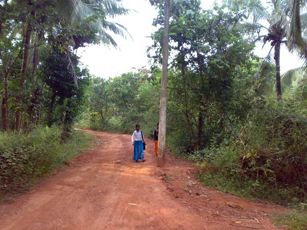Akbarali pulliparamba Chelembra, Malappuram, Kerala, India. - Pulliparamb