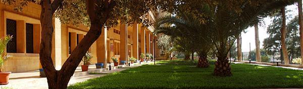 Holy Spirit University of Kaslik (USEK) - Sarba