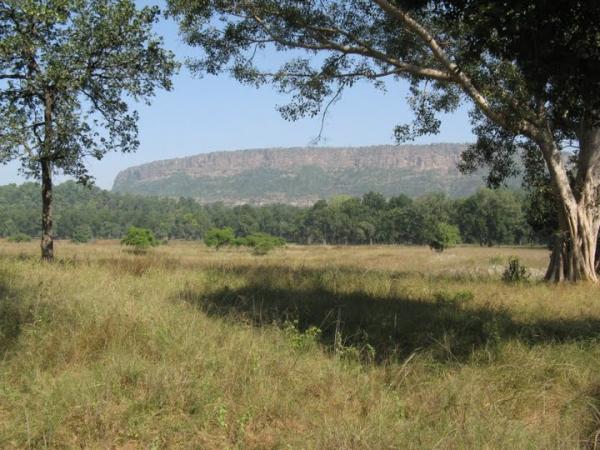 Bandhavgarh Fort