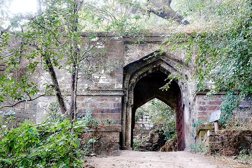 Bandhavgarh Fort
