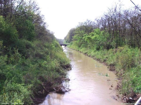 Padurea Verde - Timişoara