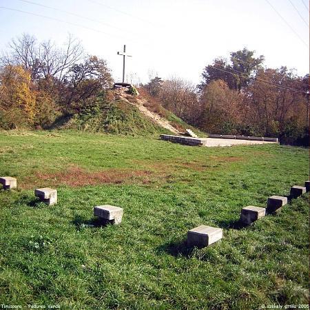 Padurea Verde - Timişoara