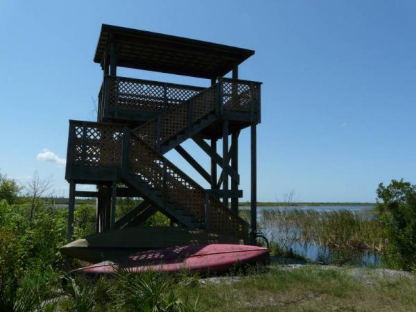 Buck Lake Observation Tower