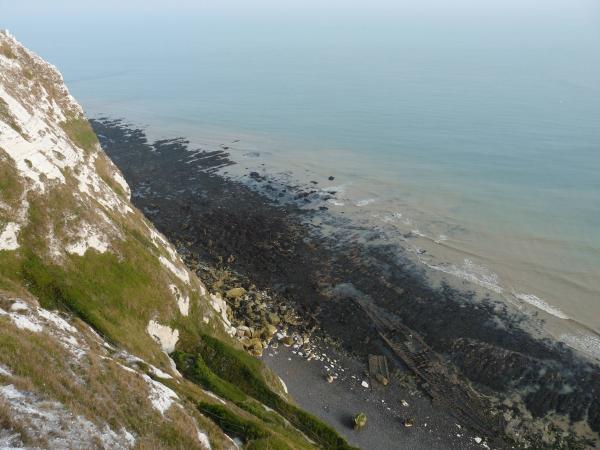 Wreck of the SS Falcon