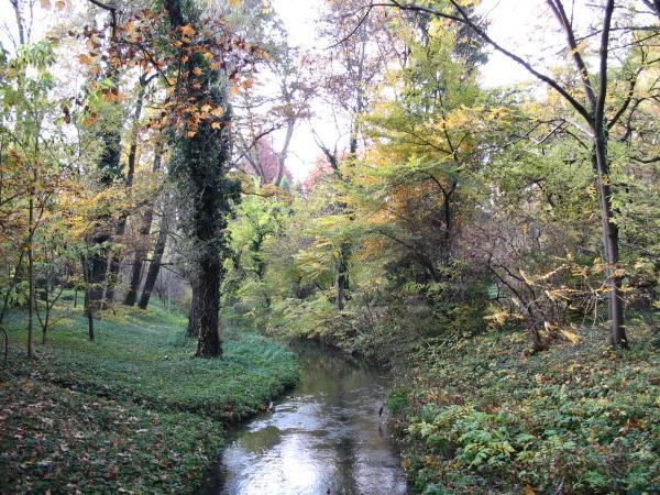 Parcul Dendrologic Simeria