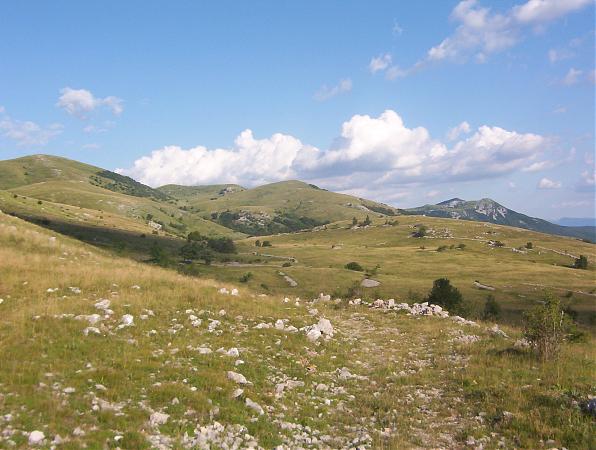 Plavno
