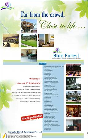 Blueforest Resorts