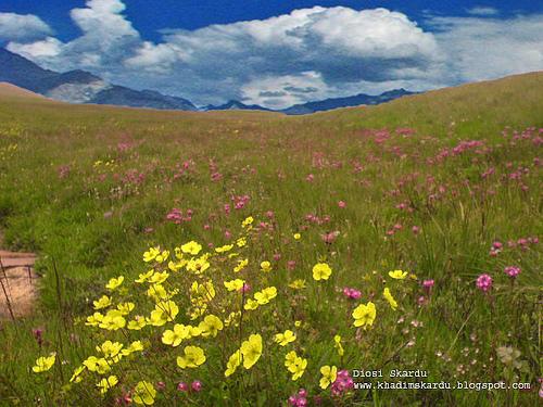 Deosai National Park
