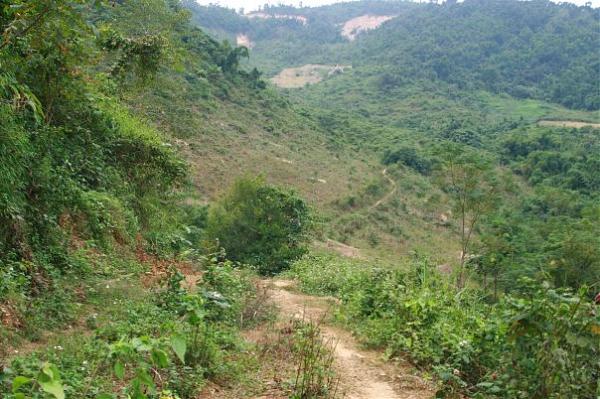 National Park in Xuan Nha.