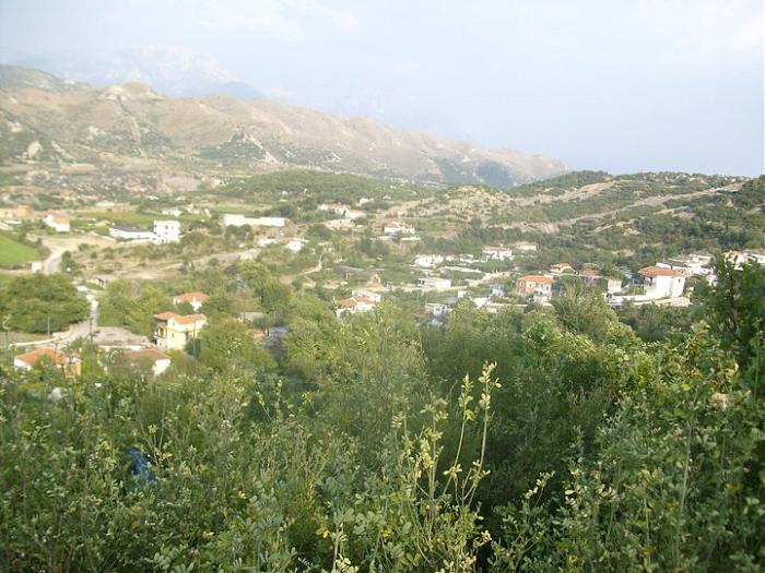 Lepenicë