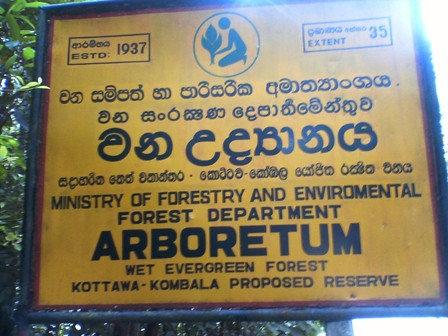 Kottawa & Kombala forest reserve