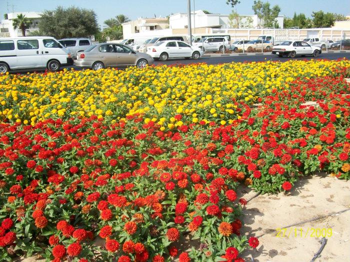 world india maharashtra mhasla world india maharashtra raigarh