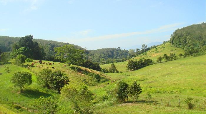 Padang Ragut Kampung Beng, Lenggong, Perak