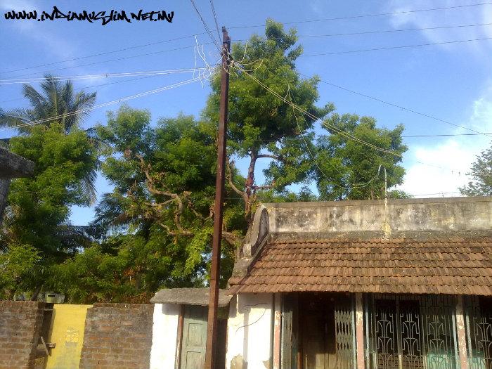 Mutton Shop - Athiyuthu